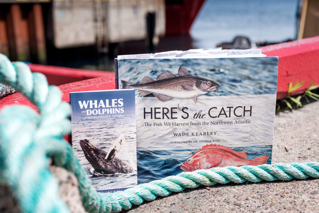 Nature field guides for Newfoundland - Nature NL