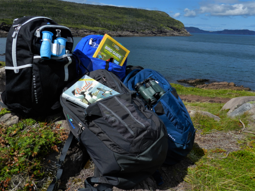 Burrows protect threatened seabird chicks from extreme climate events ...