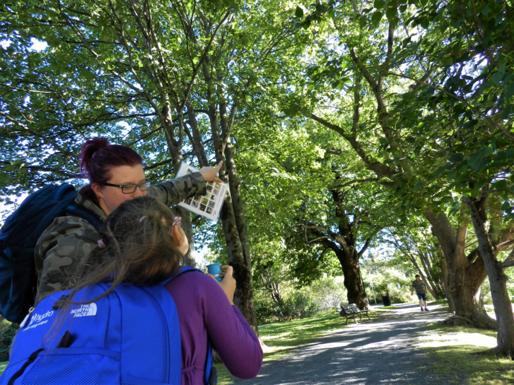 Borrow Your Way into Birdwatching at the Public Library - Nature NL