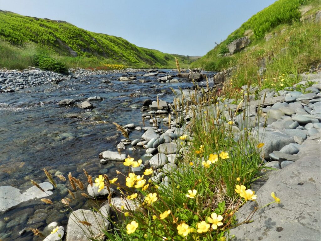 Burrows protect threatened seabird chicks from extreme climate events ...