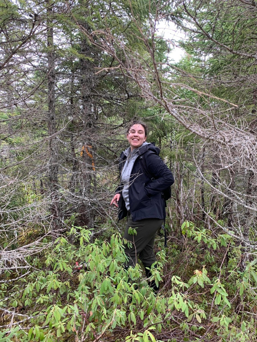 Urban forests and climate change in Newfoundland - Nature NL