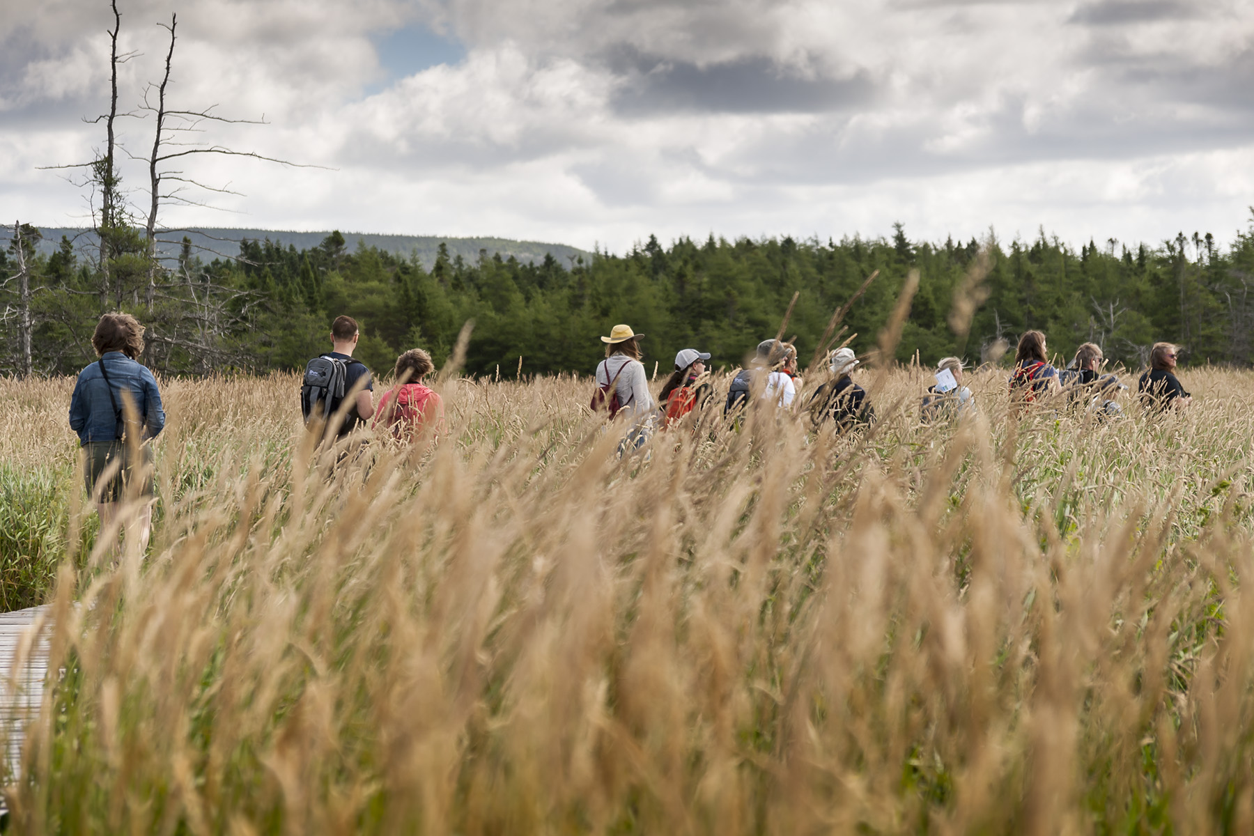 Nature Backpack Program - Nature NL