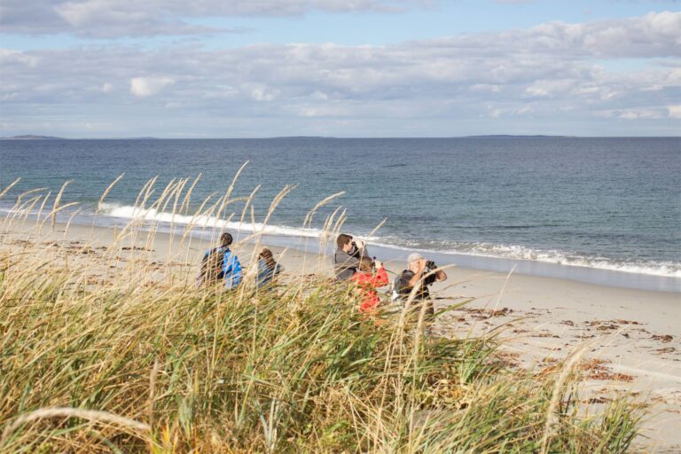 musgrave-harbour-16 – Nature NL
